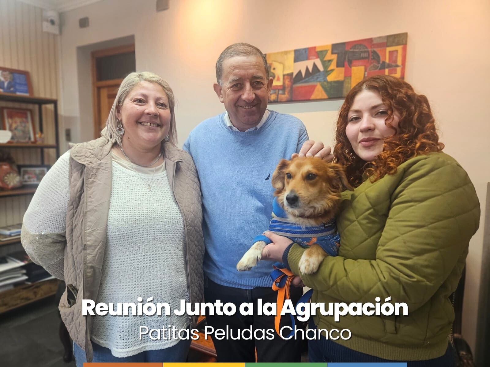 Chanco avanza en tenencia responsable de mascotas con alianzas ...