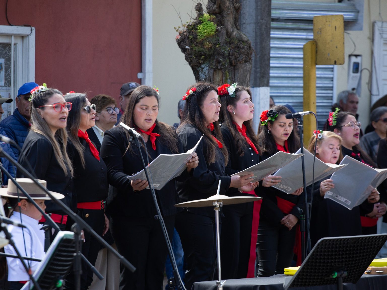Chanco celebra con orgullo sus Fiestas Patrias - Municipalidad de Chanco
